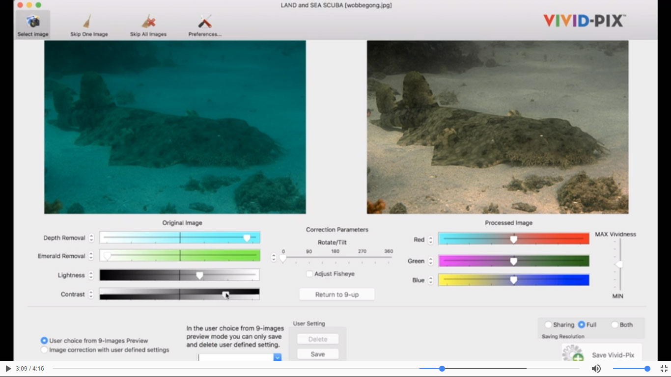 Cathy Church Land & Sea Scuba Review and Tutorial | Vivid-Pix